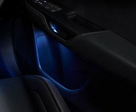 Lexus JDM Factory Option Door Pocket Illumination | Dash / Trim for ...