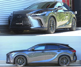 RS-R Super-i Coilovers | Coil-Overs for Lexus RX AL30 | TOP END Motorsports