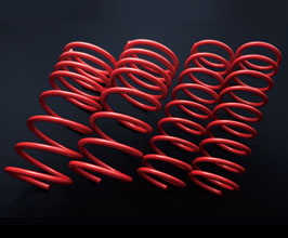 WALD DTM Sports Down Suspension Springs | Springs for Mercedes G-Class ...