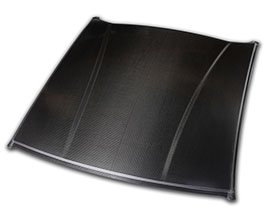 Pro Composite Roof Panel - Replacement (Dry Carbon Fiber) | Accessories ...